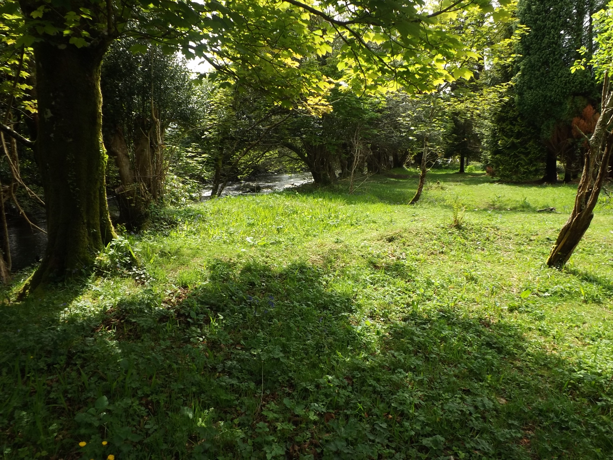 The House – Adrigole House